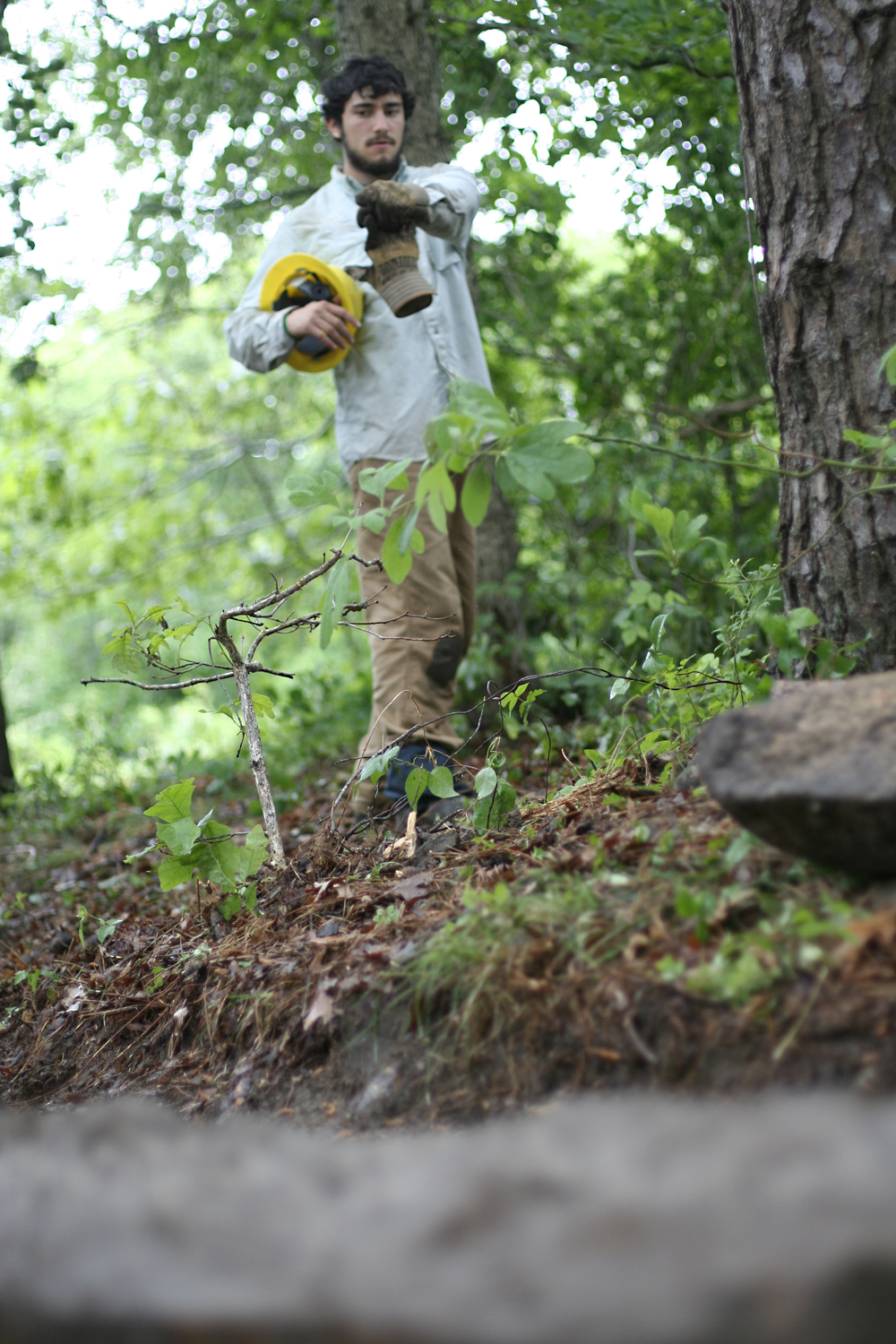 Vineyard Gazette | | An Amphitheatre Grows in Felix Neck