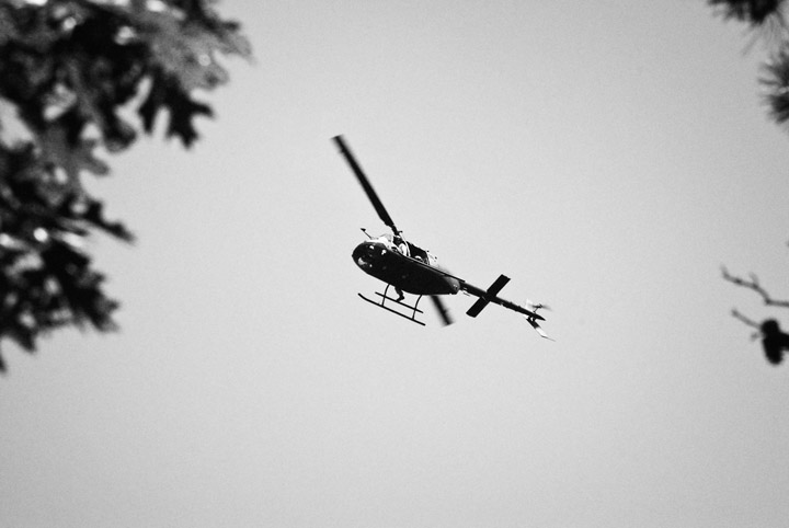 Vineyard Gazette | | Annual Drug Sweep Discovers Bumper Pot Crop in ...