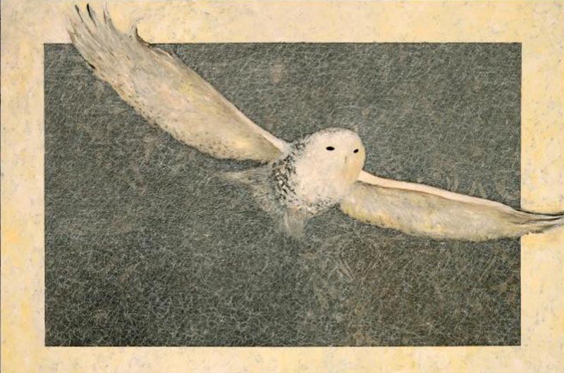 Vineyard Gazette | Art shows | Wings Take Flight