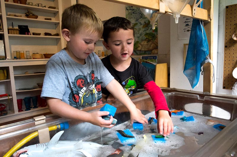 Vineyard Gazette | Preschool education | First Step Is Big Step on Path ...