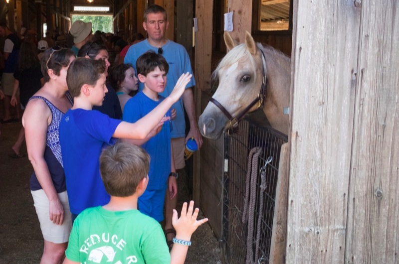 Vineyard Gazette | | West Tisbury Town Column: August 25