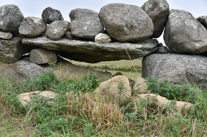 Vineyard Gazette | Beetlebung Farm | Beetlebung Farm Changes Hands for ...