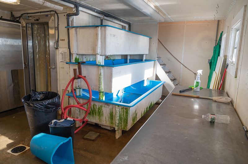 Vineyard Gazette | | Larsen’s Fish Market, Dutcher Dock Fixture, Gets a ...