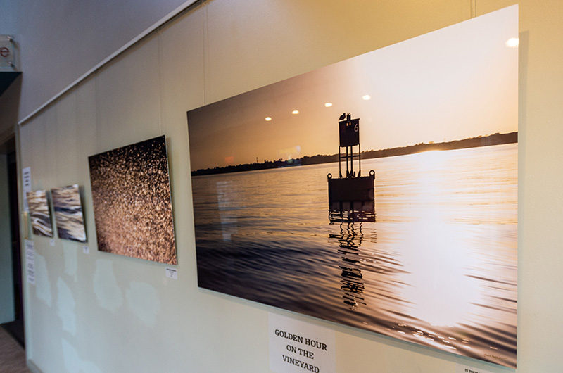 Vineyard Gazette | Photography | Sun, Sea and Jeanna Shepard