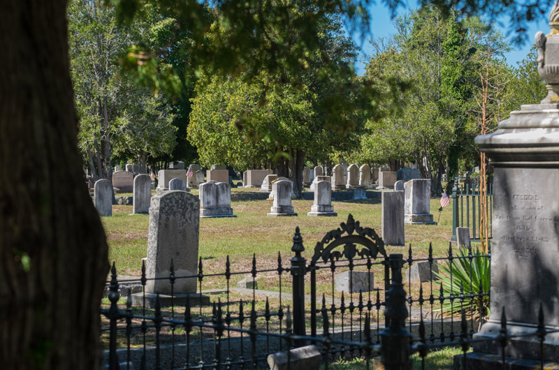 Vineyard Gazette | West Nile Virus | West Nile Found Again in Edgartown ...