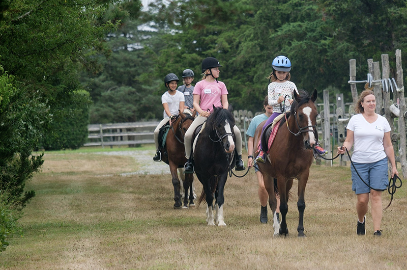 Vineyard Gazette | Geraldine Brooks | Learning Horse Sense at Misty Meadows