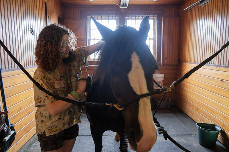 Vineyard Gazette | Geraldine Brooks | Learning Horse Sense at Misty Meadows