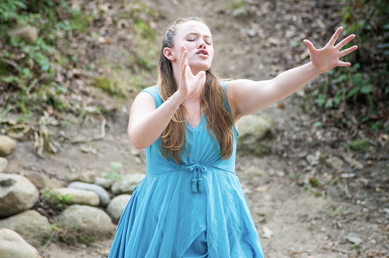 Vineyard Gazette | Martha's Vineyard Playhouse | A Fairyland Arrives in ...