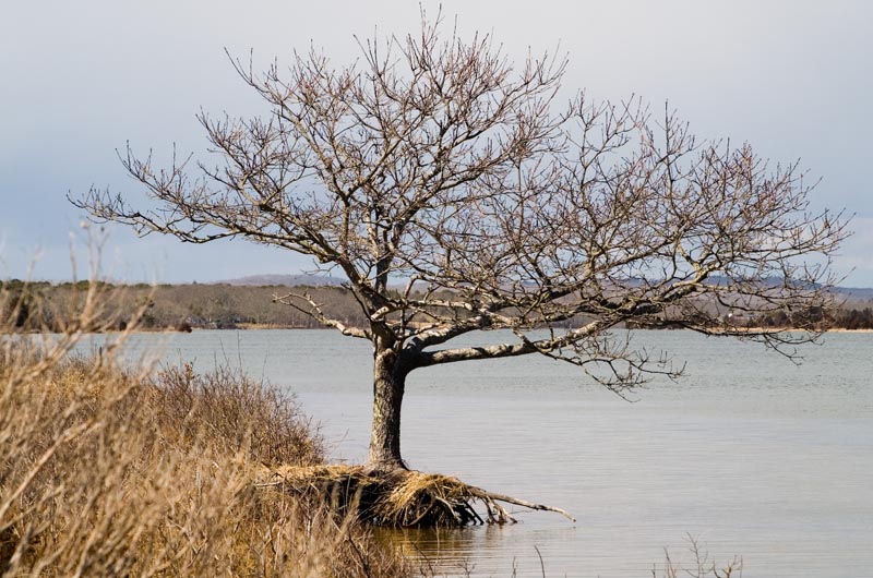 Vineyard Gazette | West Tisbury planning board | West Tisbury Big-House ...