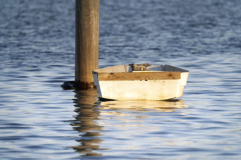 Vineyard Gazette | Edgartown select board | Edgartown Eyes Its Future ...