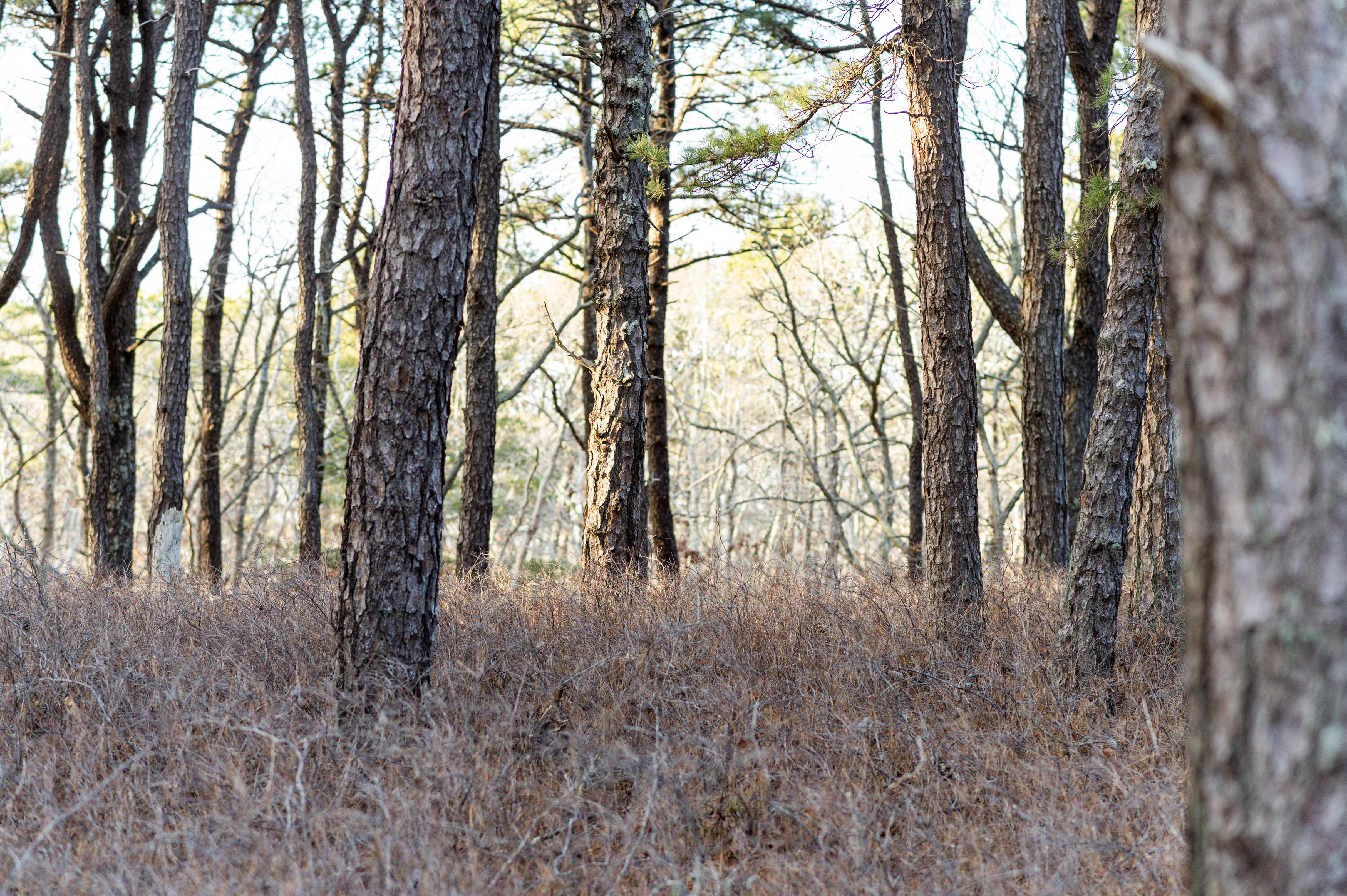 Vineyard Gazette | Affordable housing | Southern Tier Affordable ...