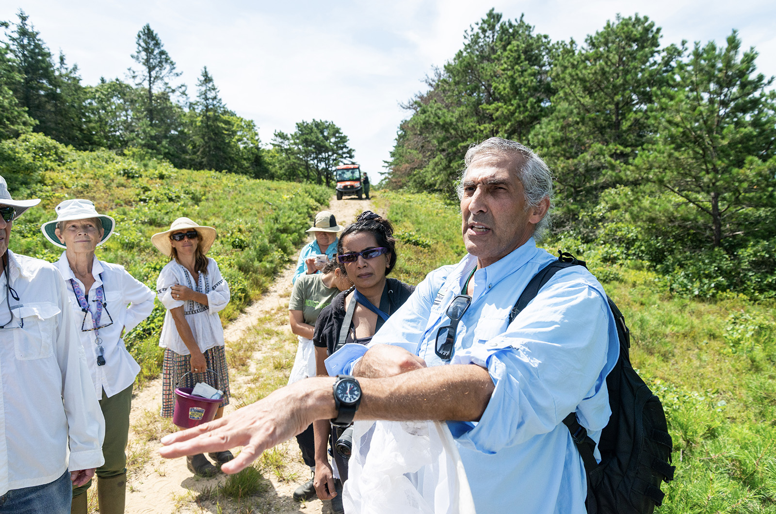 Vineyard Gazette | Manuel F Correllus State Forest | Walking State Forest Reveals Eons of ...