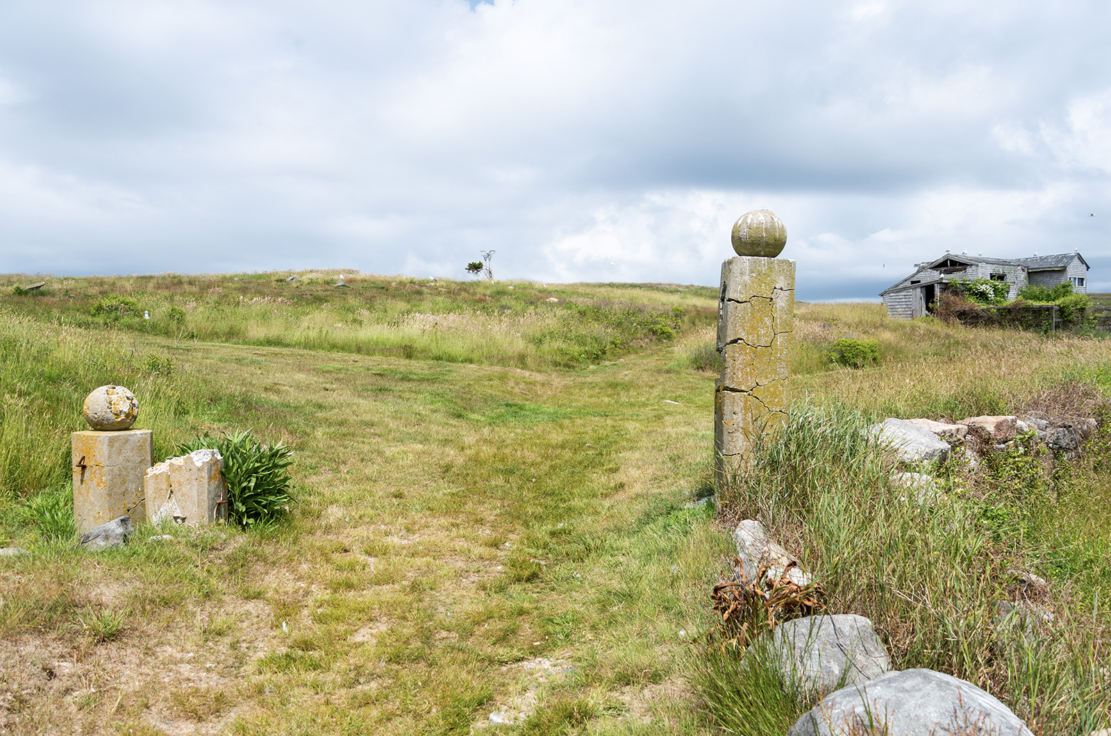 Vineyard Gazette | Penikese Island | Penikese Continues to Be a ...