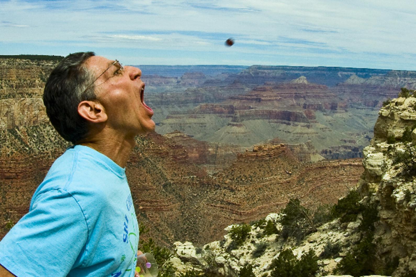 Vineyard Gazette | | Try This Bunch of Grapes, Record Breaker