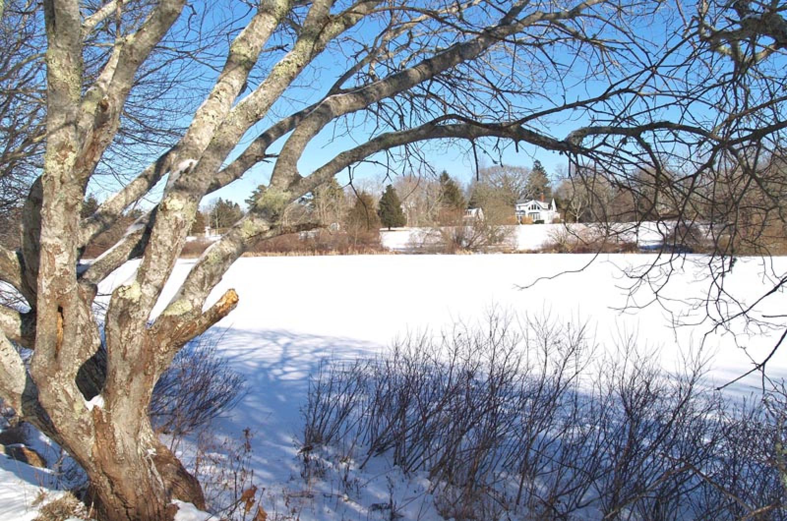 Vineyard Gazette | Mill Pond | West Tisbury Debates Future of Mill Pond