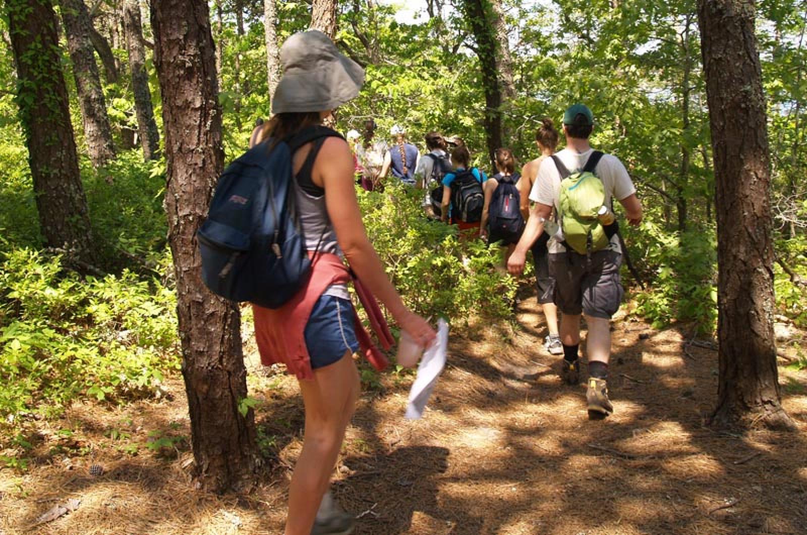 Vineyard Gazette | Ticks | Tick Disease Center Will Study Lyme Testing